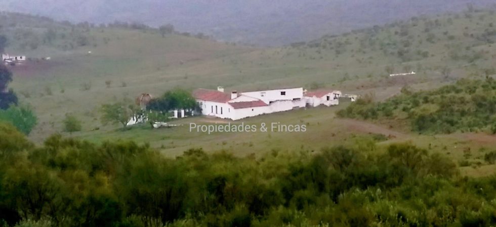 Finca ganadera de 620 hectáreas, muy buena para ovejas y vacas, en la ...
